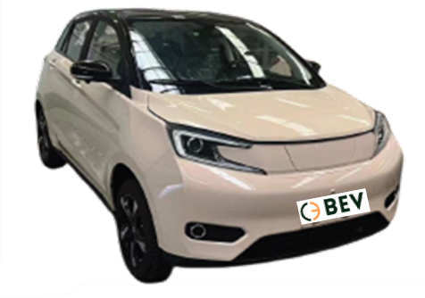 BEV:Battery Electric Vehicle